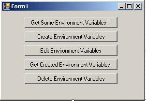 Using System Wide Environment Variables In Net Application