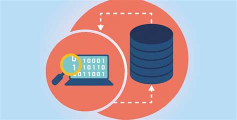 Oracle SQL And PL SQL RiseBack