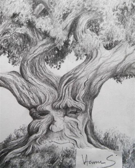 Black And White Tree Drawing At PaintingValley Com Explore Collection Of Black And White Tree