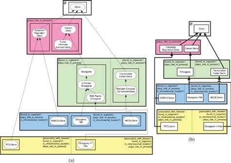 figure 3 from detecting role errors in the gene hierarchy of the nci thesaurus semantic scholar