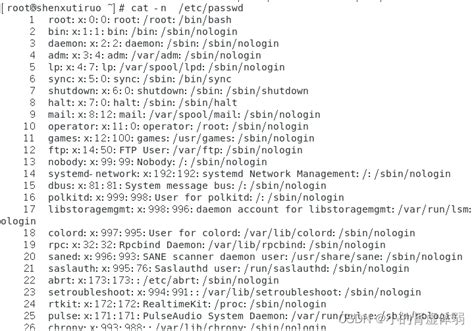 Linux系统下的文件管理 Csdn博客