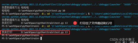 Python 打印文件执行路径和行号python 打印行号 Csdn博客