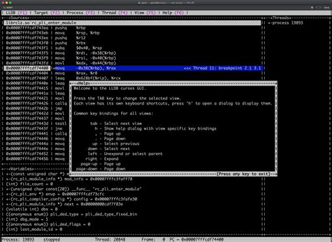 Peeter Joots Blog The Lldb Tui Text User Interface