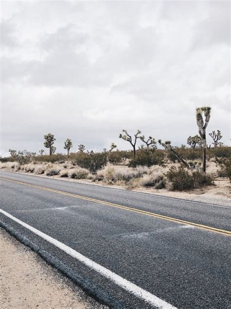 In Pursuit Of A 5 AP Calculus BC On Tumblr