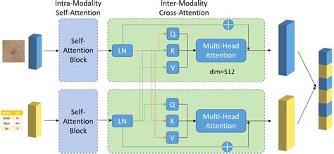 Frontiers A Deep Learning Based Multimodal Fusion Model For Skin Lesion Diagnosis Using