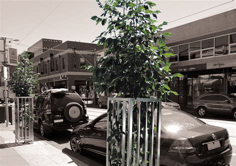 Tree Management Treelogic Pty Ltd Species Selection Tree Inventories