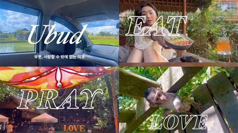 발리 우붓 Vlog 👩‍🍳쿠킹 클래스 돌고래 투어 🐬 원숭이 사원 🐒 요가 반 명상 수업 🧘🏻‍♀️ Youtube