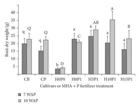Root Diameter A Root Dry Weight B And Root Volume Density C Of Download Scientific