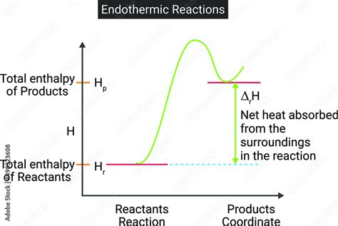 Enthalpy Diagram For Endothermic Reactions Stock Vector Adobe Stock