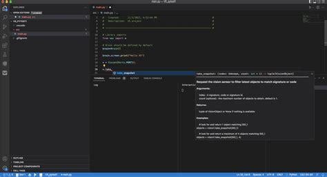 Python Vision Sensor Detecting Multiple Objects Programming Support