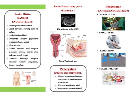 Leaflet Kanker Endometrium Pdf