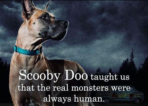 Cami King Posted On Linkedin