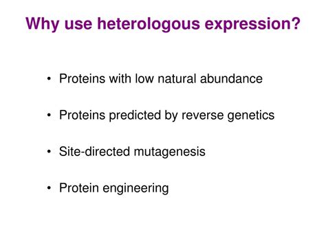 Ppt Methods Of Protein Purification Powerpoint Presentation Free Download Id89332