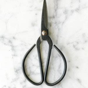 Scissors Pruners Set Houseplants And Gardening A Etsy