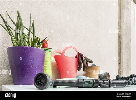 A Hose With A Diffuser Head Gloves Empty Pots A Salmon Colored Watering Can And A Green Hose