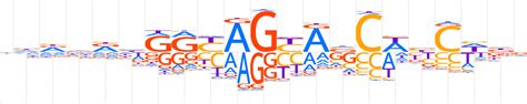 prdm9 mouse h11di 0 c motif homo sapiens comprehensive model collection
