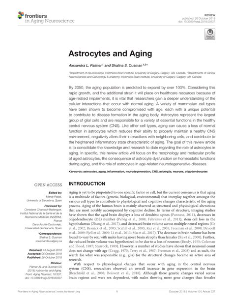 Pdf Astrocytes And Aging