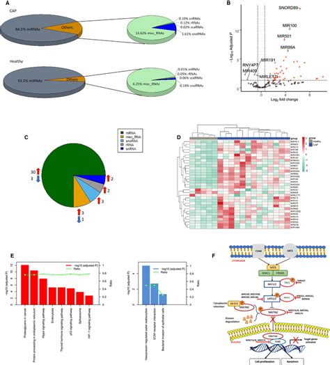 Landscape Of Small Non‐coding Rna Species In Patients With Sepsis