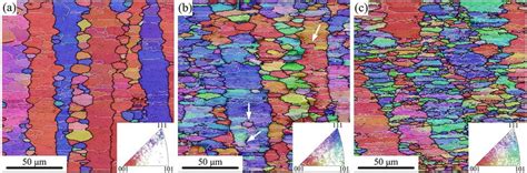 Ebsd Derived Ipf Maps For Compression Sample 1 With Different Strains