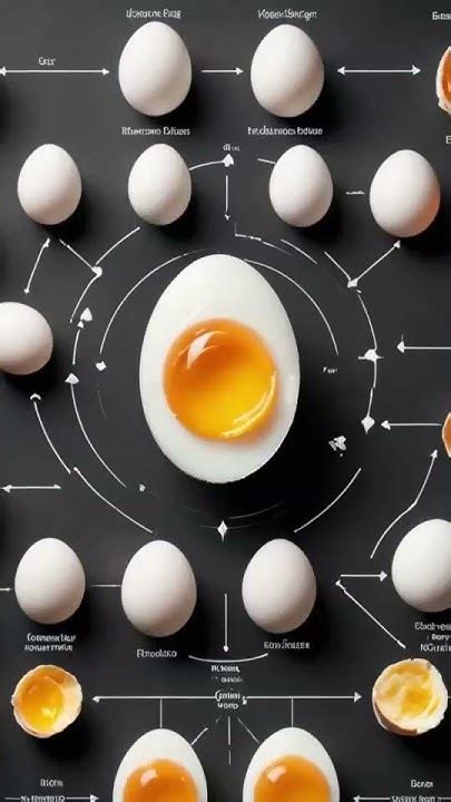 암탉은 수탉 없이 알을 낳는다 진짜 암탉 무정란 계란 병아리부화 Shorts Youtube