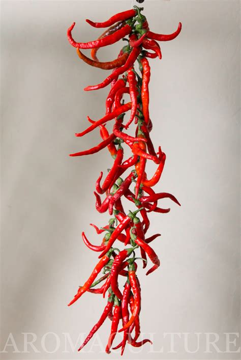 Serrano Pepper Dried Reumvegetable