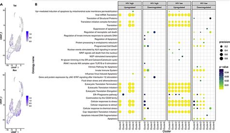 Single Cell Rna Seq Analysis Identifies Major Modulated Pathways That