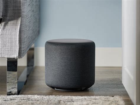 Unlock The Echo Sub A Compatibility Guide