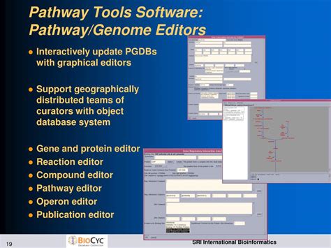 Ppt Ecocyc Metacyc And The Pathway Tools Software Powerpoint