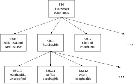 Excerpt Of Three Digit Icd 9 Hierarchy Download Scientific Diagram