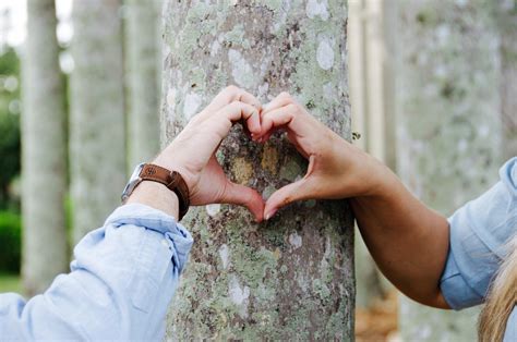 Heart Tree Love Free Photo On Pixabay Pixabay