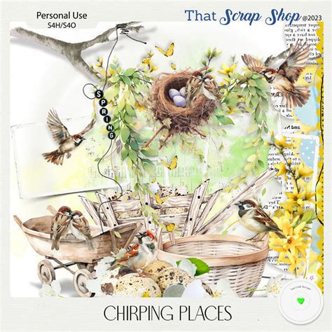Chirping Places Pu That Scrap Shop