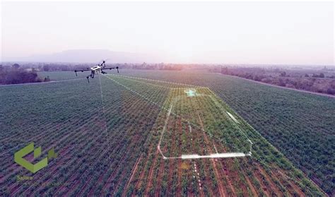 Drone Weed Mapping Precision In Modern Weed Management