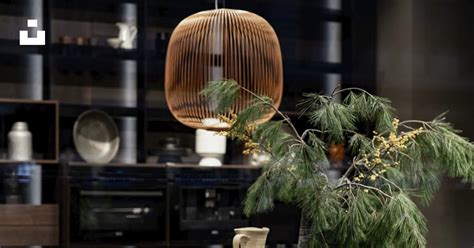 갈색 나무 테이블에 녹색 식물 사진 Unsplash의 무료 실내 이미지