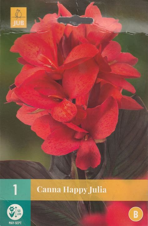 Kana Dosna Happy Julia Cannasol 1 Hlíza Oranžovočervená