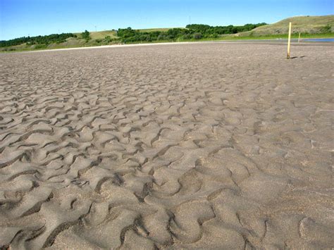 Bedforms Quantification And Modelling Of Bedform Dynamics In Unsteady Flows