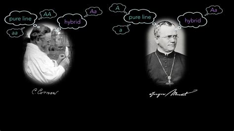 Lecture Slides Beyond Mendel The Biology Primer