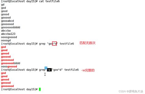 Shell脚本之正则表达式shell正则表达式 Csdn博客 Shell脚本之正则表达式shell正则表达式 Csdn博客