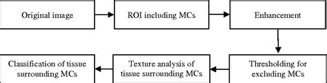 figure 1 from using texture of tissue surrounding microcalcifications