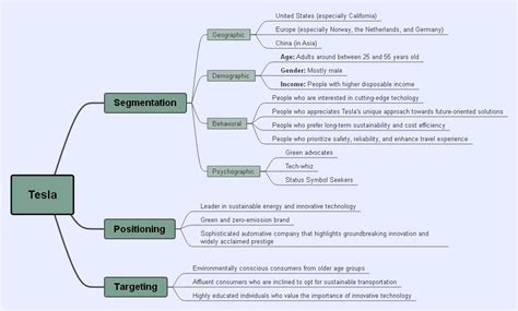 How Teslas Stp Strategy Drives Its Market Dominance