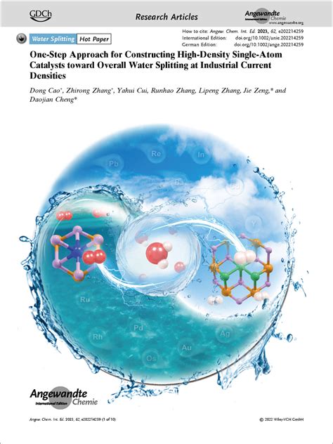 Frontispiece One‐step Approach For Constructing High‐density Single‐atom Catalysts Toward