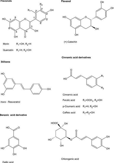 Structural Formulas Of The Compounds Analyzed Download Scientific Diagram