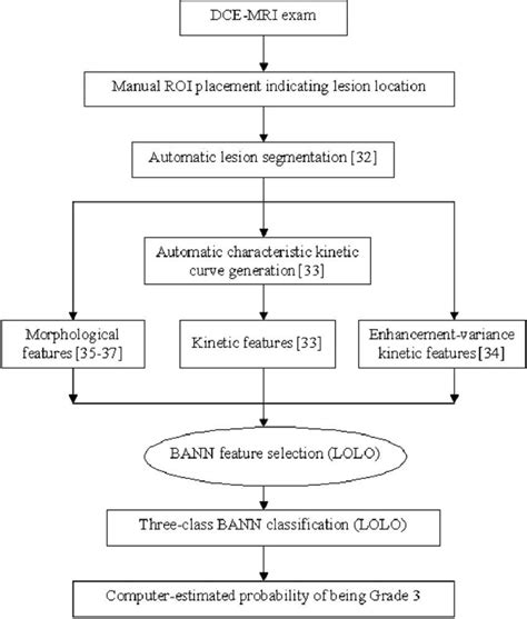 Scheme Of Automated Analysis Of Breast Lesions Using Dce Mri Bann Download Scientific