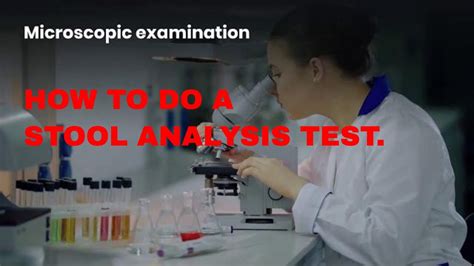 How To Do A Stool Analysis Test And Its Preparation Youtube