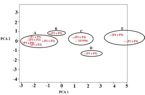 Figure 1 From Nature Of Inheritance To Heat Stress And Selection Of Inherent Genotypes In