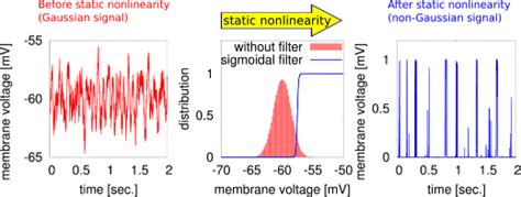 Schematic Representation Of The Model With Static Nonlinearity Voltage Download Scientific