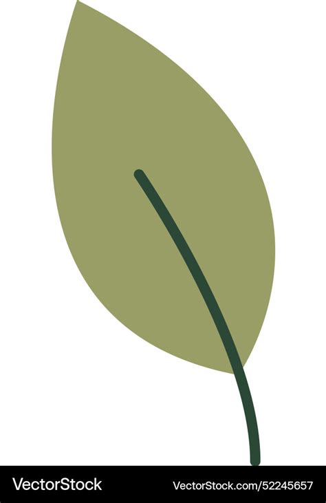 Tree Leaf Icon Royalty Free Vector Image VectorStock