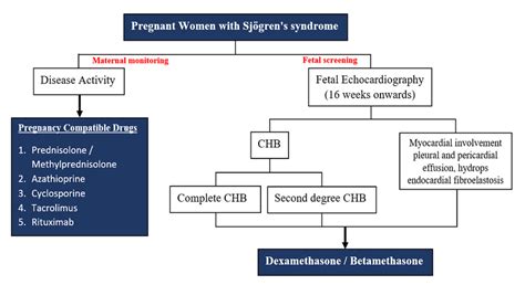 Overview Of Sjögrens Syndrome Management In Pregnancy 14 Download