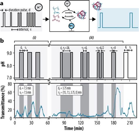 Molecular Information Processing In A Chemical Reaction Network Using Surface‐mediated