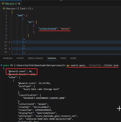 extracting the metadata from purview in json file using purview cli