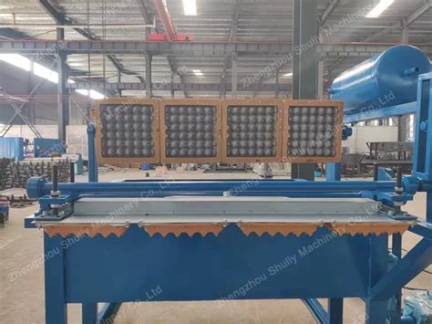 1500pcsh Egg Tray Molding Machine For Brazil Farm